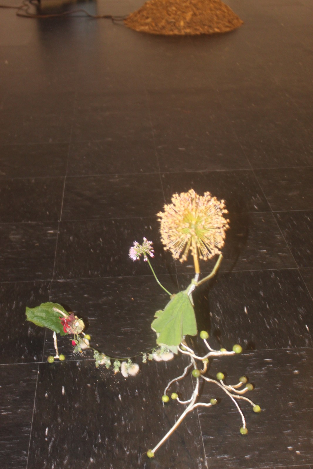 Digging Into a Sentient Earth - SW.